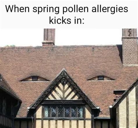 25 Spring Memes Since Spring Is Right Around The Corner