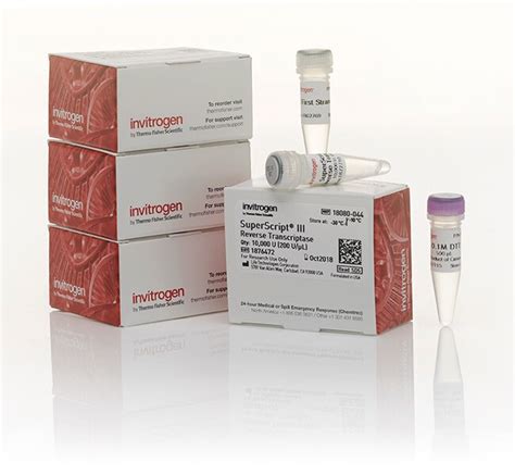 Superscript™ Iii Reverse Transcriptase 200 Reactions Buy Online Invitrogen™