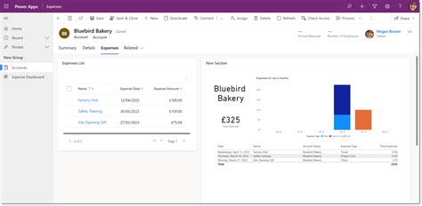 Power Platform Solution And Power Bi Part 3 Hat Full Of Data
