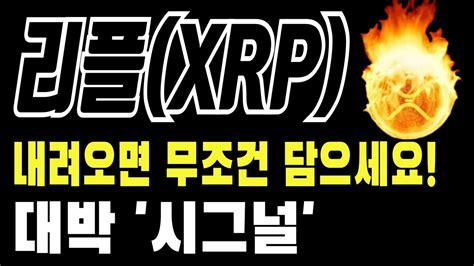 리플 전망 내려오면 무조건 담으세요 대박 시그널 Youtube