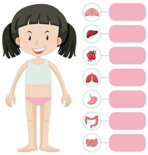 Imágenes De Cuerpo Humano Nina Descarga Gratuita En Freepik
