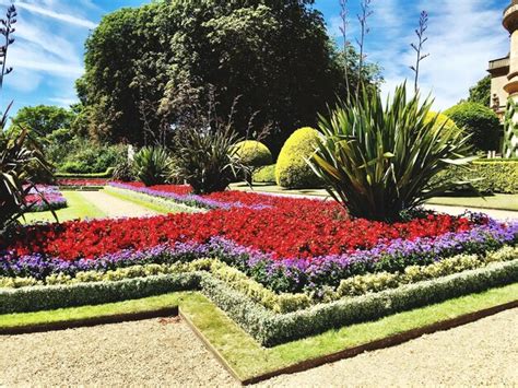 Premium Photo Multi Colored Flower Tree Against Sky