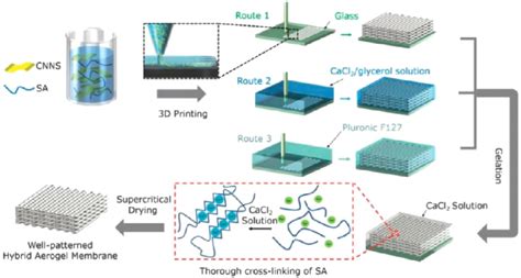 Schematic Illustration Of The Fabrication Process For 3d Printed Hybrid