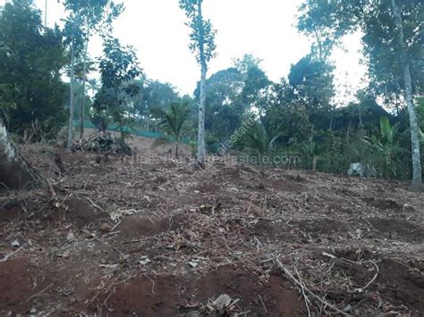 Prime Residential Land For Sale At Kunjithanni Near Munnar Idukki Kerala Real Estate