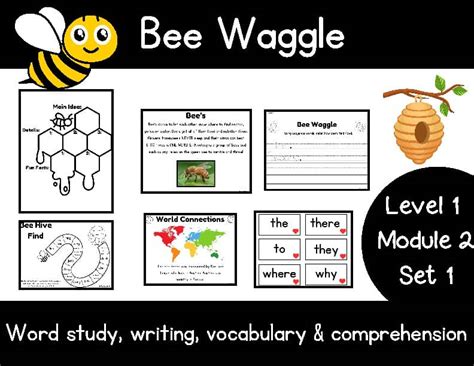 Bee Waggle Geodes Level 1 Module 2 Book 3 By Ace Learners Tpt