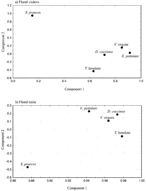 Bivariate Plot Of The Þrst Two Principal Components From Analyses In