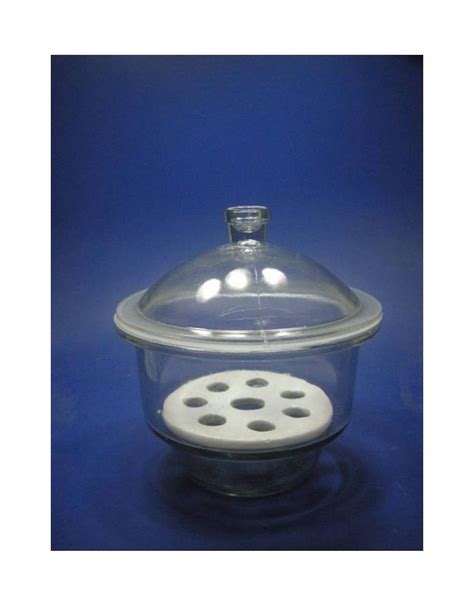 Dessicator With Cover And Porcelain Plate Plastic Knob