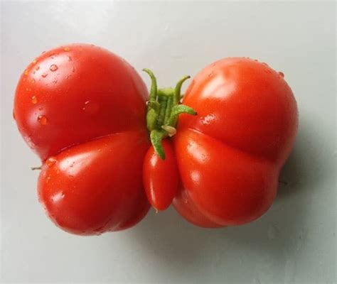 Weirdly Shaped Fruits Vegetables That Look Like Something Else Artofit