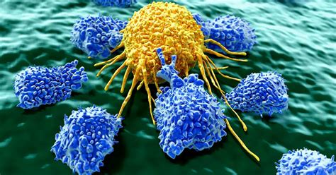 Scientists Build Tiny Robots That Can Inspect Manipulate Your Cells