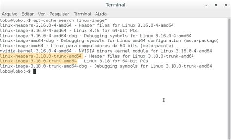 Tenha a ultima versão do Kernel Linux no seu Debian Testing