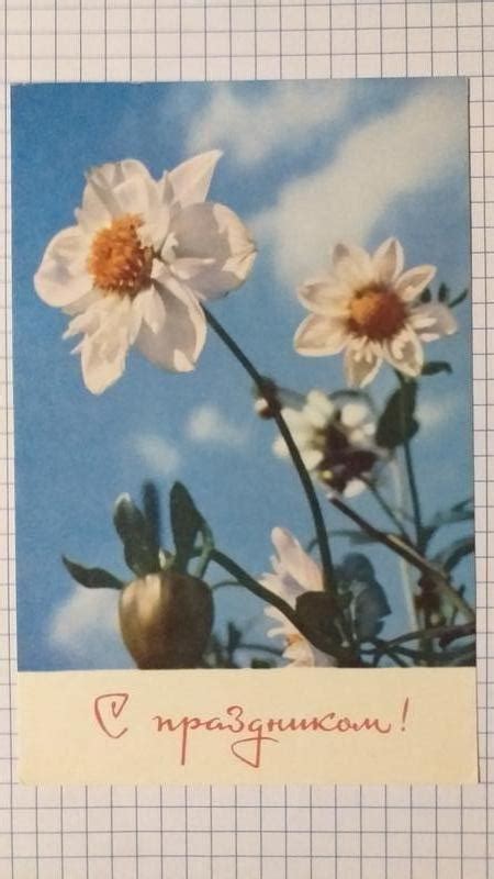 Листівка 1967 вінтаж чистий — ціна 5 грн у каталозі Листівки і конверти Купити товари для