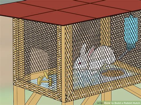 How To Build A Rabbit Hutch Step By Step With Pictures At Isabelle
