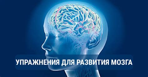 8 упражнений для развития мозга