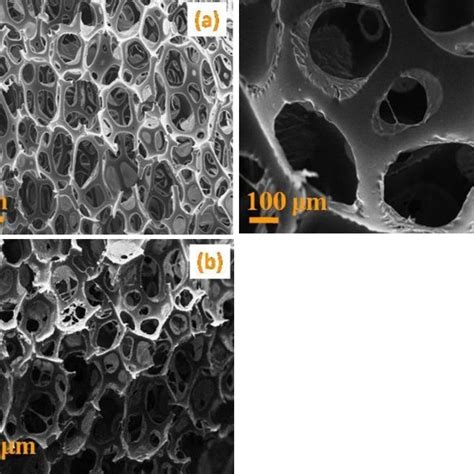 Sem Micrographs Of Bare Pu Foam A Pedot Pss Coated Pu Foam B And