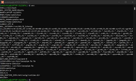 Linux Environment - Naukri Code 360