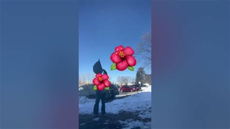 Colorgaurd Flag Youtube