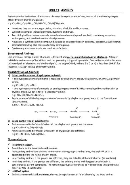 Amines Class 12 Ppt Cbse Pptx