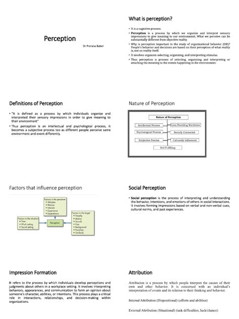 Perception Ob Pdf