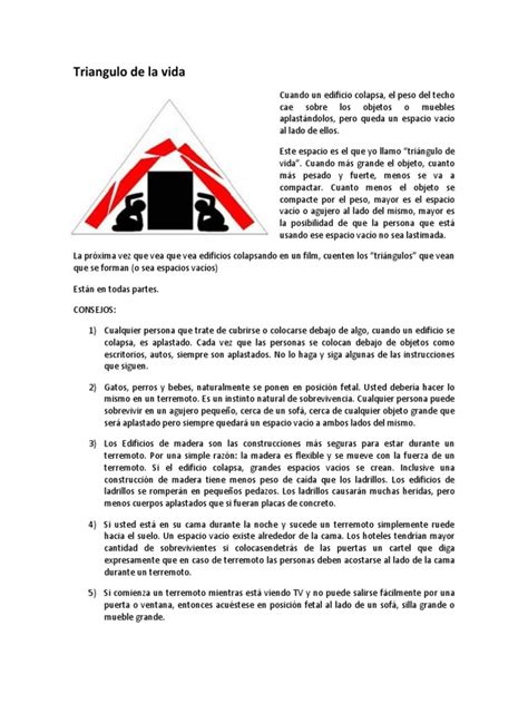 Triangulo De La Vida Pdf Desastres Y Accidentes Desastre General