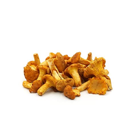 Pfifferlinge 1 4cm 760