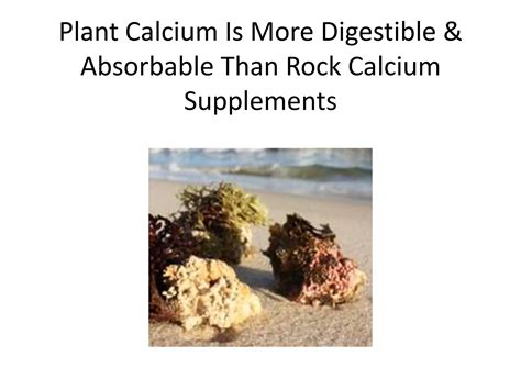 Algaecal Plant Calcium Ppt