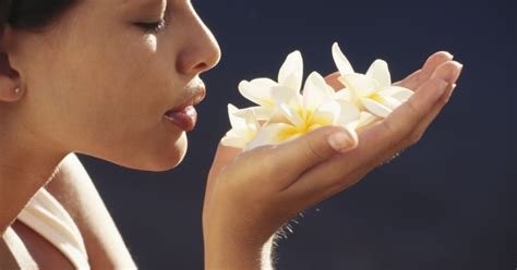 Según Un Estudio La Pérdida De Olfato Y Gusto Podrían Persistir En