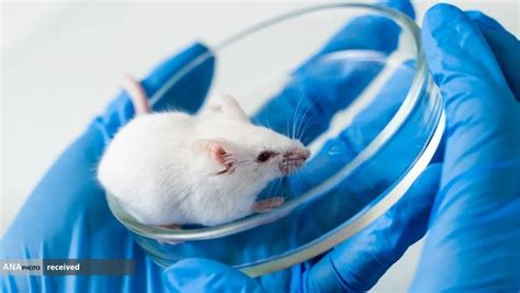 تشخیص و درمان صرع با بهره‌گیری از هوش مصنوعی ممکن شد خبرگزاری آنا