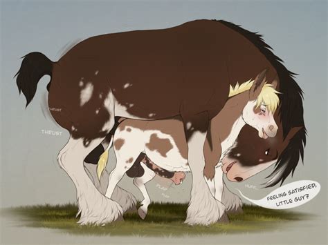 Rule 34 Animal Genitalia Animal Penis Anus Asinus Balls Big Balls Big