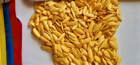 رضا کاظمی Reza Kazimi آصف آشنا عدالت، قصهِ‌مفت در جمهوریت کذایی