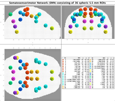 Model Of The Sensorimotor Network In Mni Space Consisting Of 36 Rois