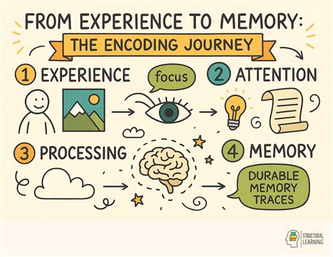 Encoding Strategies For Long Term Learning