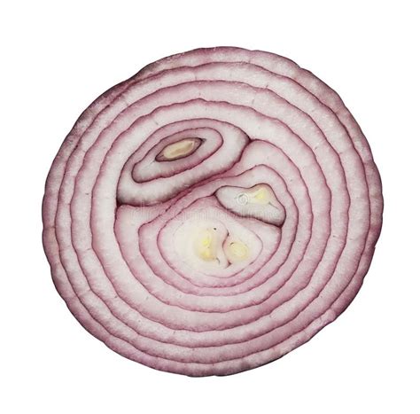 Red Onion Cut Into Pieces Stock Image Image Of Fast