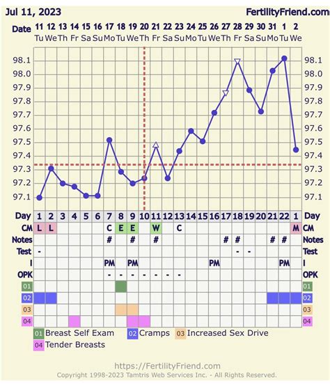 Amount Of Egg White Cervical Mucus Rfamnnfp