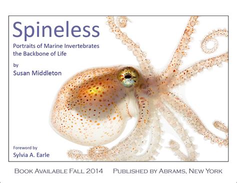 Getting Up Close And Personal With Marine Invertebrates Mission Blue