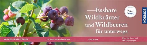 Essbare Wildkräuter Und Wildbeeren Für Unterwegs 140 Arten Einfach