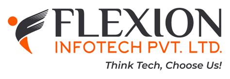 Flexion Infotech Pvt Ltd