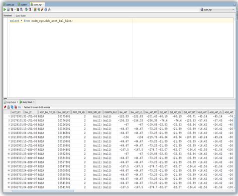 Oracle Utilities Data Model Security