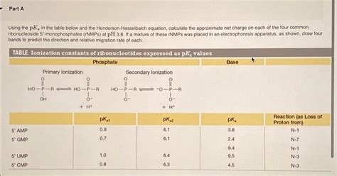 Solved Using the pKa in the table below and the | Chegg.com