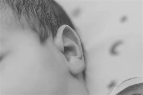 Ear Drum What Is It And Why Is It Important Liv Hospital