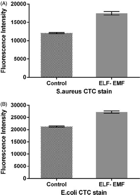 Dapi Staining Of Bacterial Dna The Bacteria Were Exposed To 50 Hz 1 Download Scientific