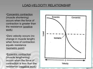 Types Of Muscle Contraction Ushnish Ppt