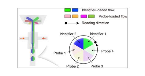 Multicompartmental Hydrogel Microspheres As A Tool For Multicomponent Analysis Analytical