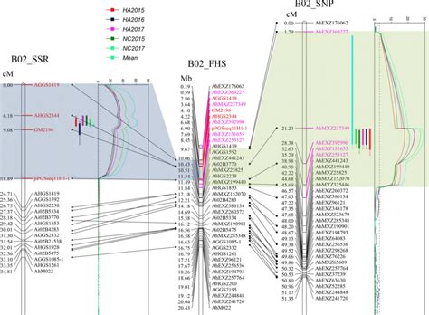 Co Localization Of The Major Qtl Identified By Ssr And Snp Based Download Scientific Diagram