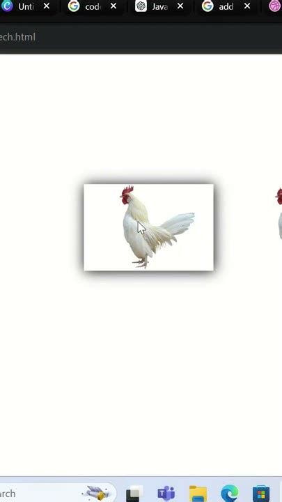 Shadow In Css Filter In Css How To Add Shadow In Image Using Css