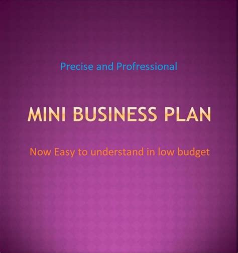Make A Precise Business Plan For Startups By Syedali939 Fiverr