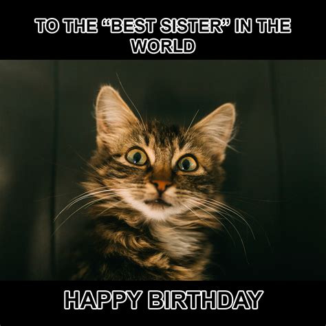 Free Sarcastic Happy Birthday Meme For Him Download In Illustrator