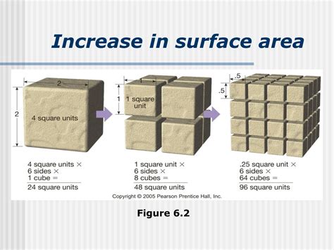 Ppt Chapter 6 Weathering And Soil Powerpoint Presentation Free