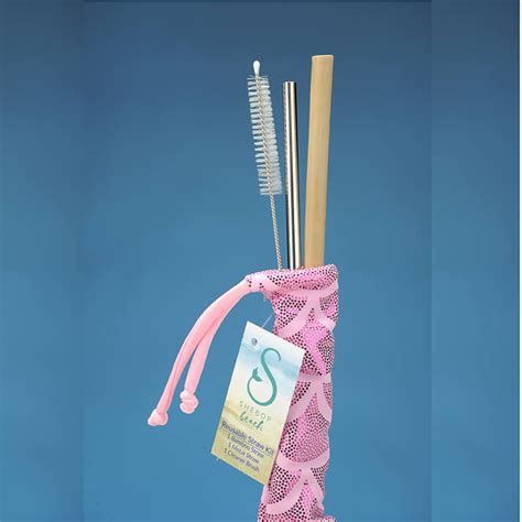 Reusable Straw Kit Shebop Beach