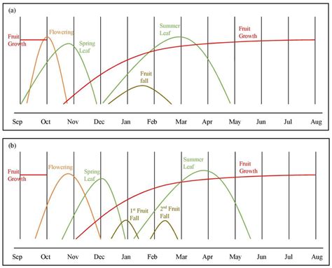 Potential Of Time Series Sentinel 2 Data For Monitoring Avocado Crop Phenology