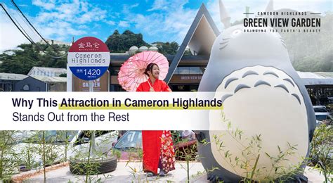 Why This Attraction In Cameron Highlands Stands Out